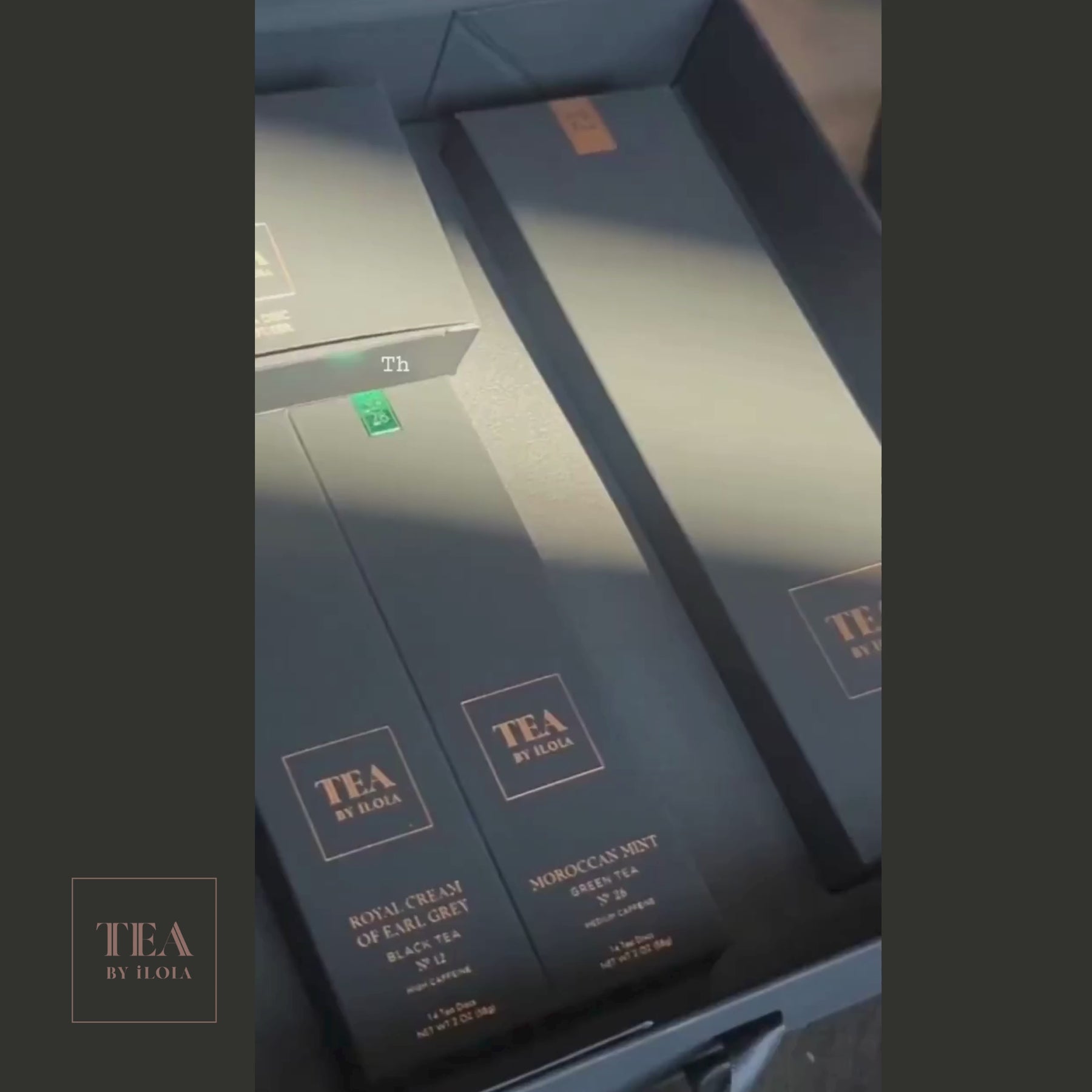 Tea Disc Essential Set | Probiotic Loose Leaf Tea Discovery Box – iLOLA